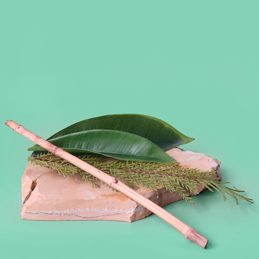 Rainforest - Fragrance Oil | Scent Method