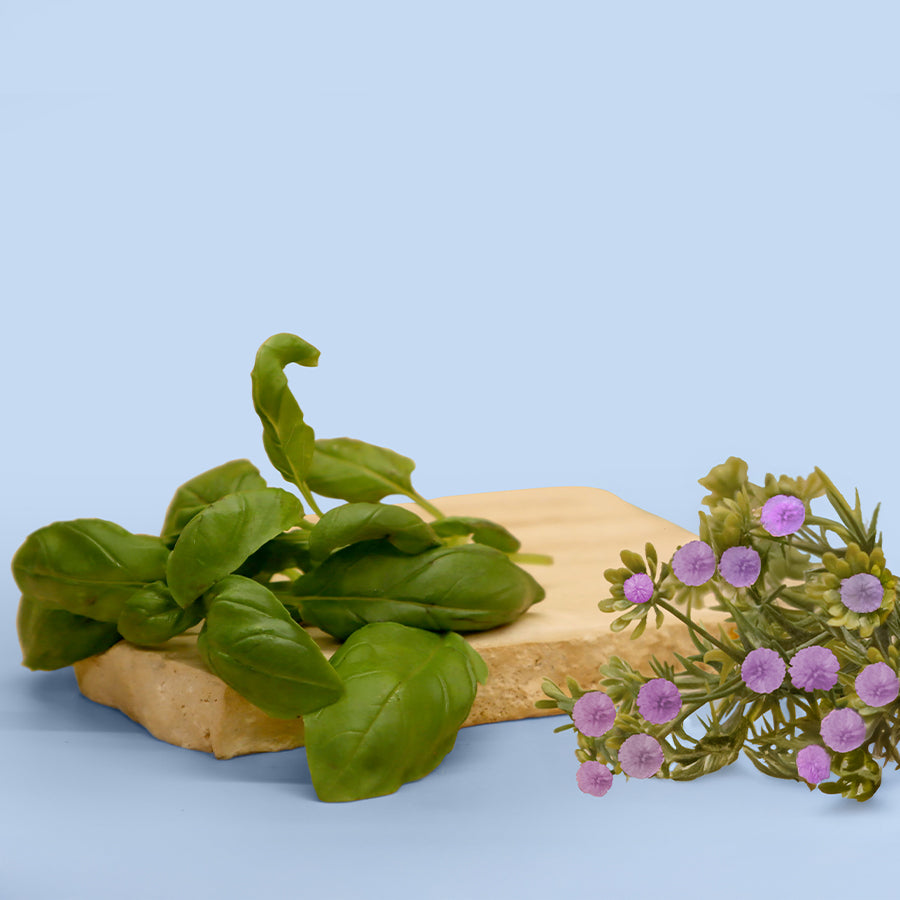 Verbena & Basil (Passion In Positano Type) - Fragrance Oil | Scent Method