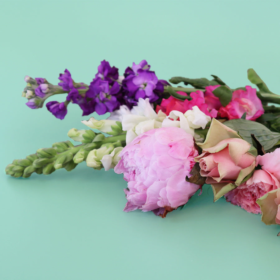 Five - Fragrance Oil | Scent Method