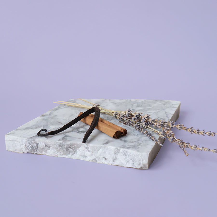 Le Male Type - Fragrance Oil | Scent Method