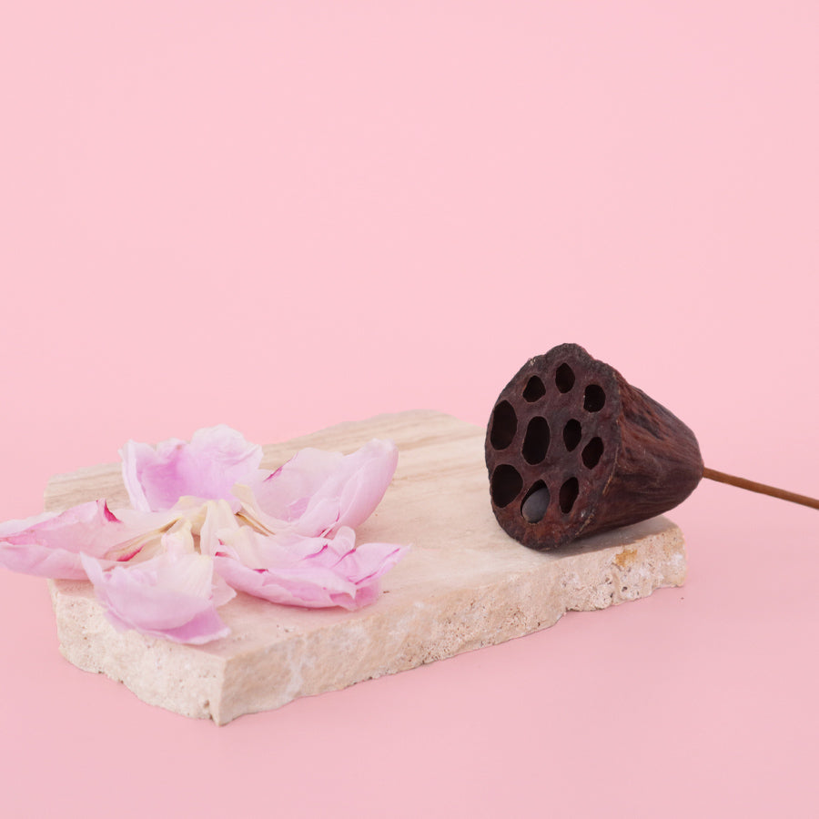 Lotus Flower - Fragrance Oil | Scent Method
