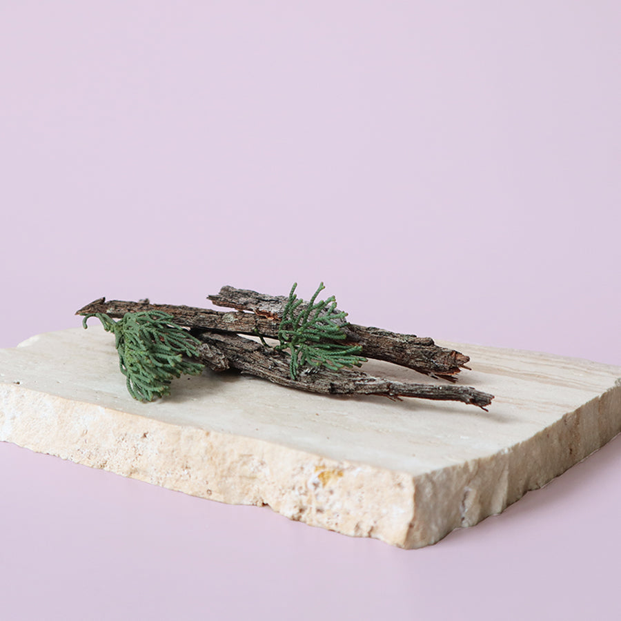 Pine & Fir Needle - Fragrance Oil | Scent Method